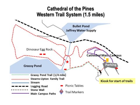 Our Trails | Cathedral of the Pines